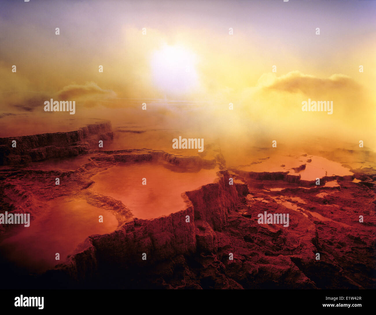 Genesis creation earth hi-res stock photography and images - Alamy