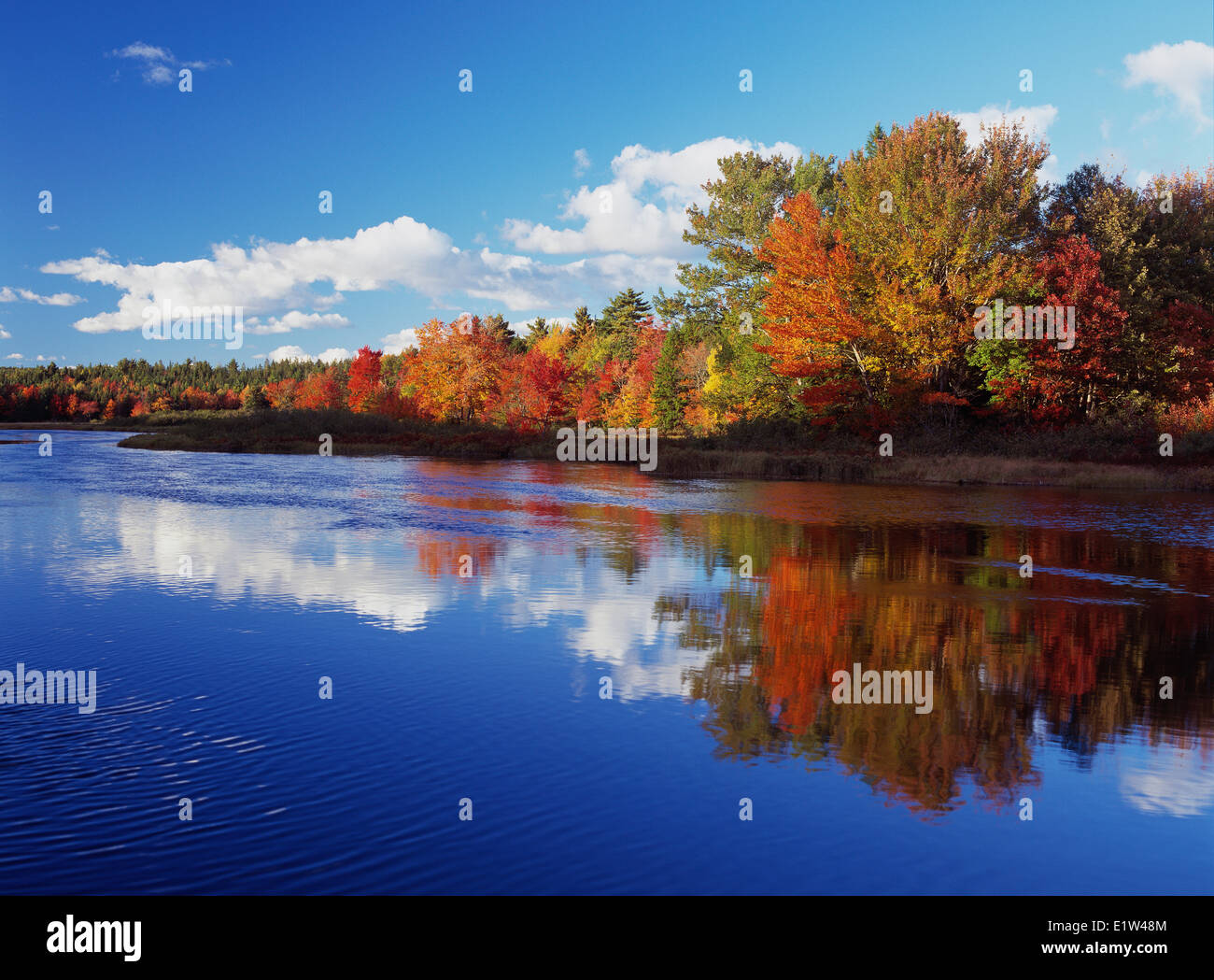 Mercy River Autumn, Kejimkujik Provincial Park, Nova Scotia Stock Photo ...