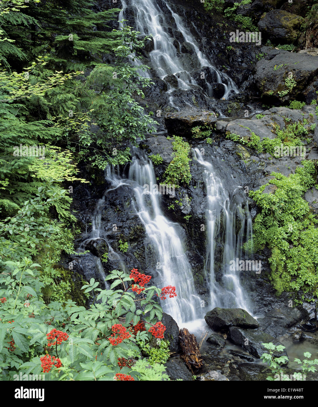 Mount Rainier National Park waterfall. Washington Stock Photo - Alamy