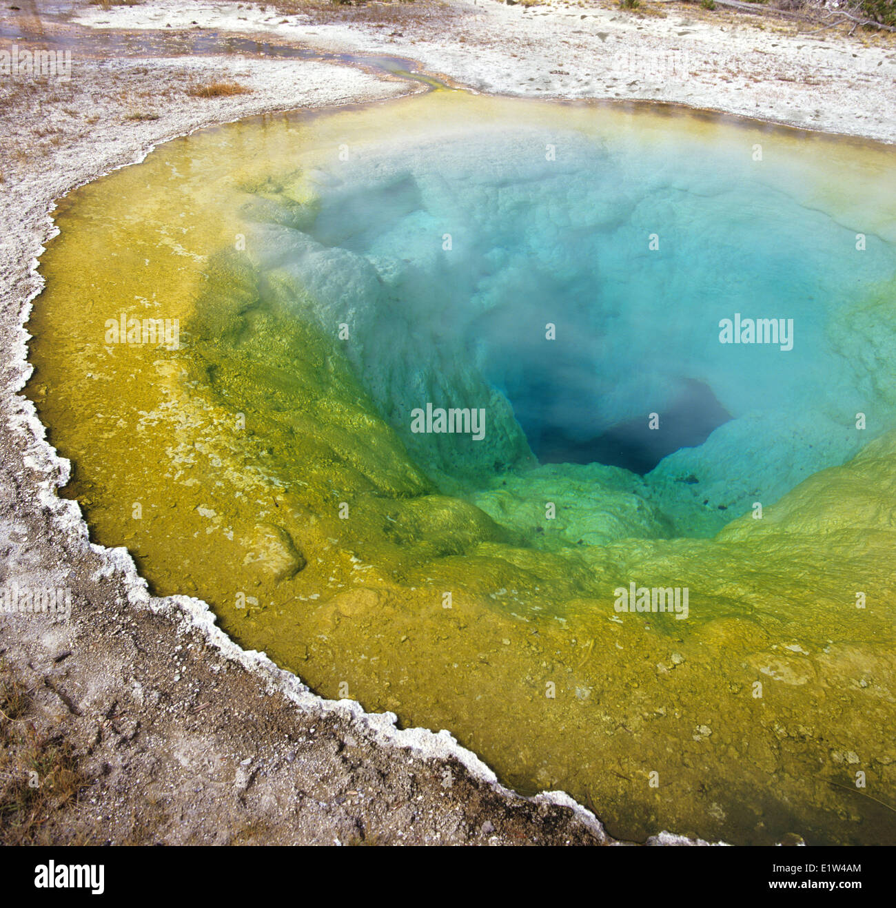 Thermoacidophiles hi-res stock photography and images - Alamy