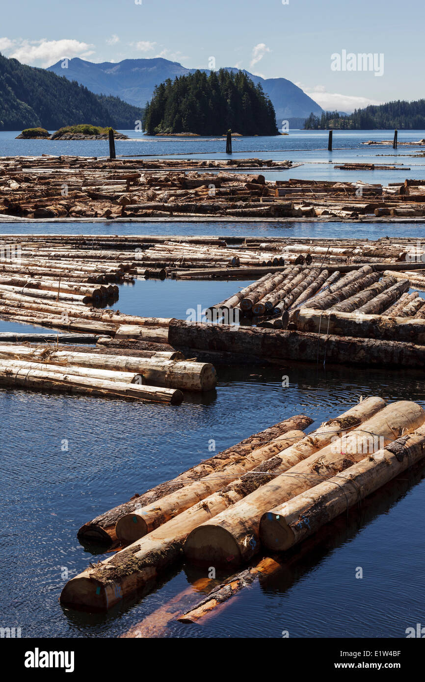 Logging forestry log booms hi-res stock photography and images - Alamy