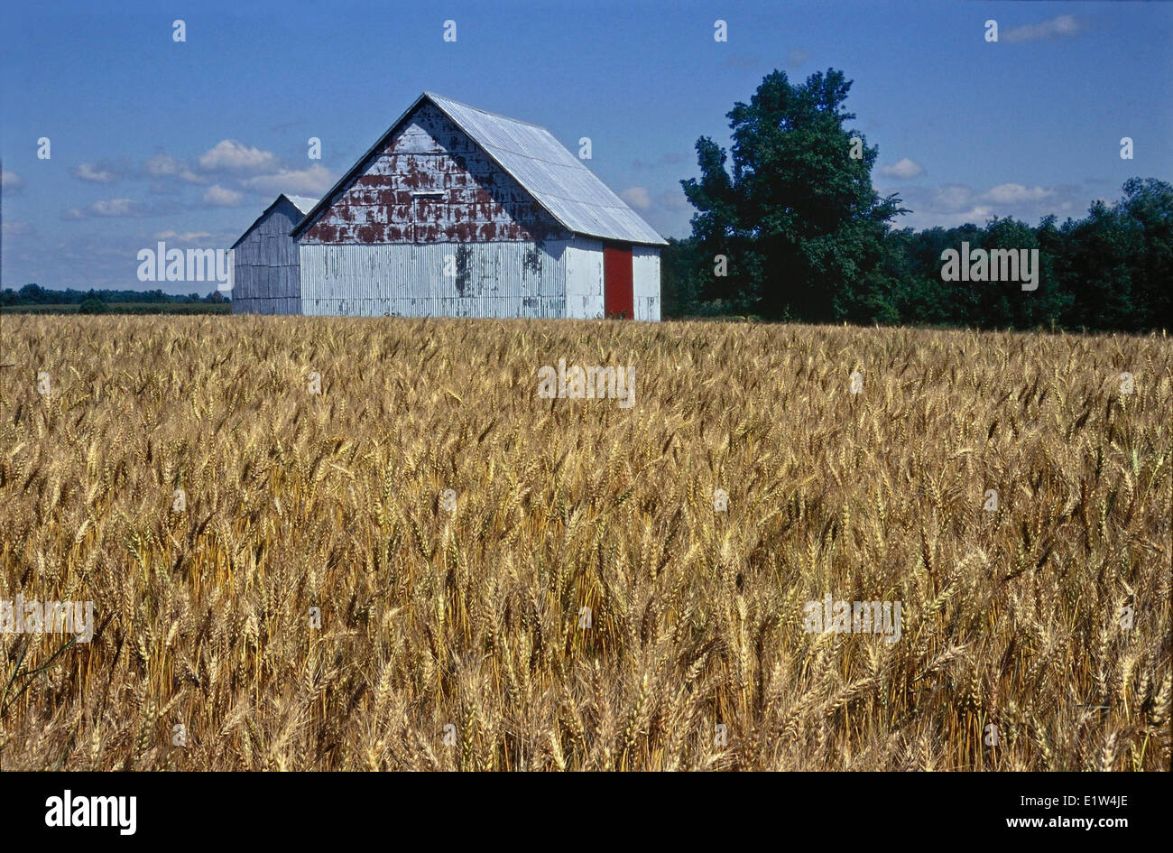 Berthierville, Lanaudiere, Quebec, Canada Stock Photo - Alamy