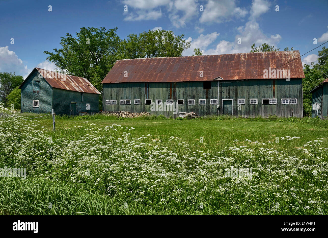 Barns quebec farms agriculture hi-res stock photography and images - Alamy