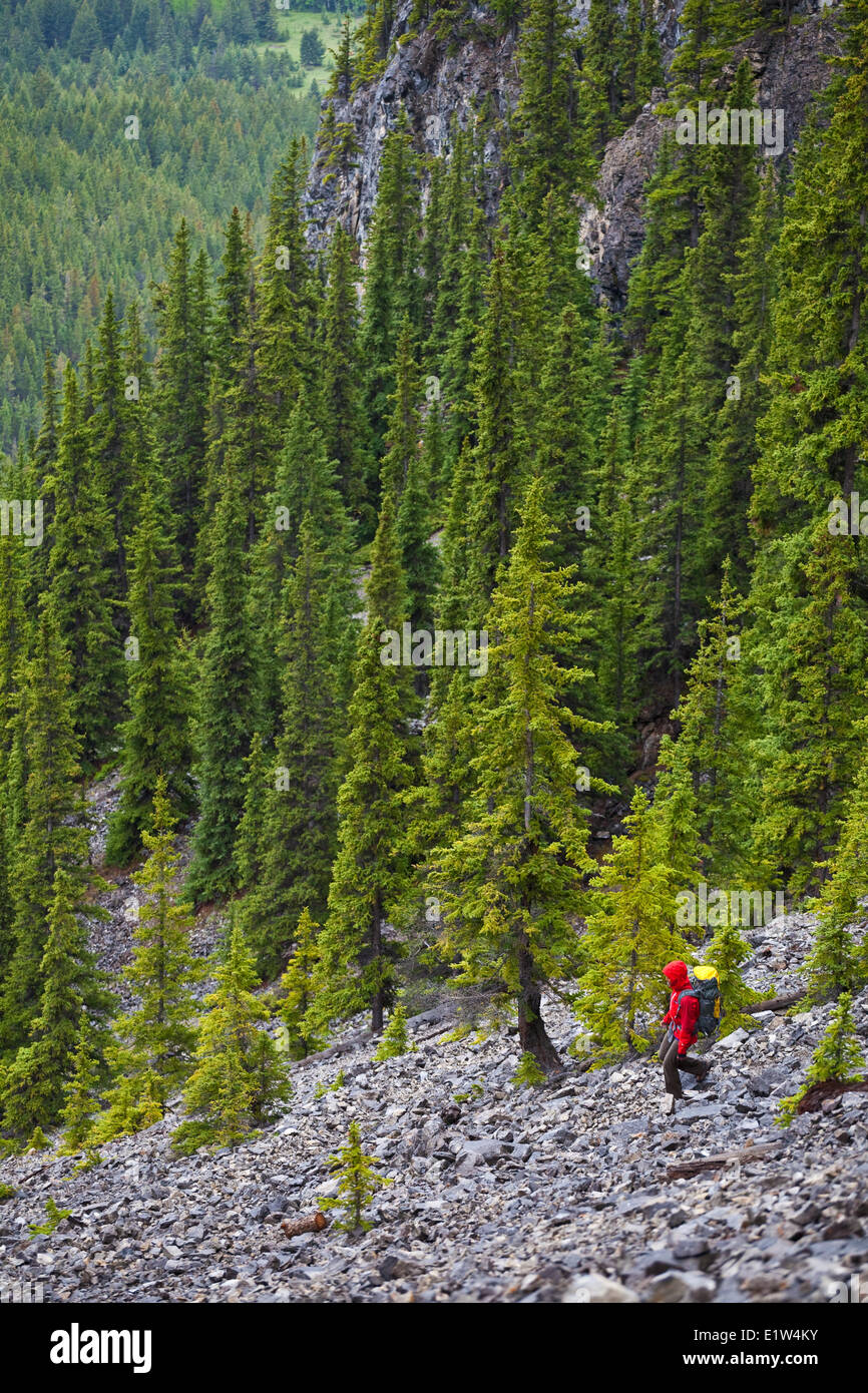 A female hiker heading down in the rain after hiking up Grotto Mountain ...