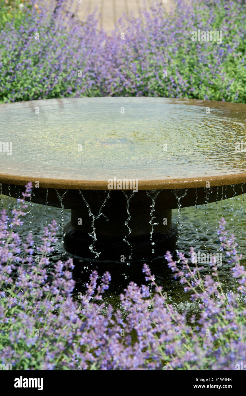 Water feature at RHS Wisley gardens. England Stock Photo - Alamy