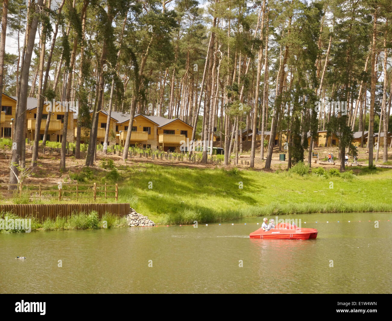 Center Parcs at Woburn Forest Stock Photo - Alamy