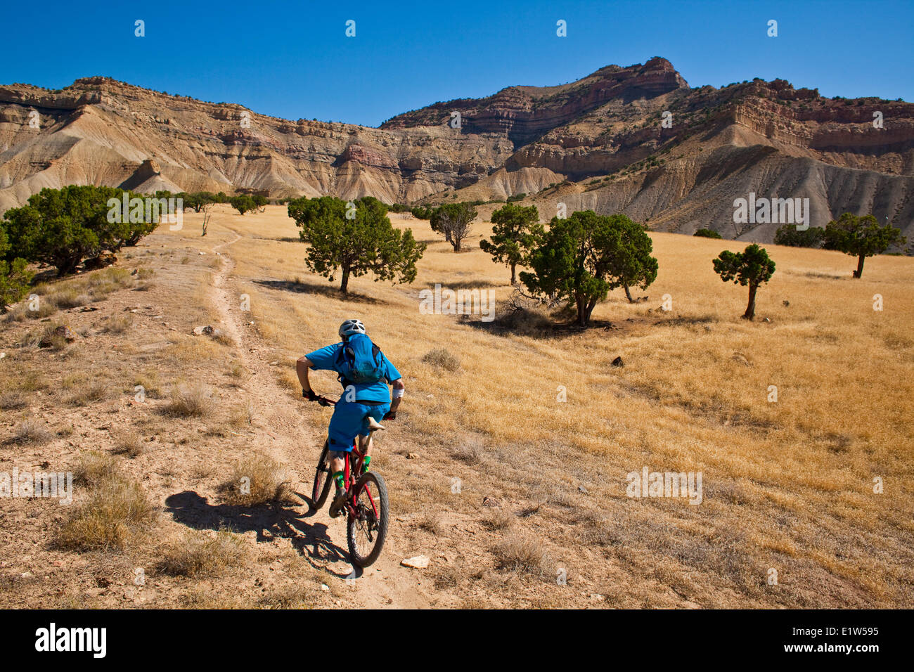 A male mountain biker riding the epic Edge Loop in 40 degree celsius ...