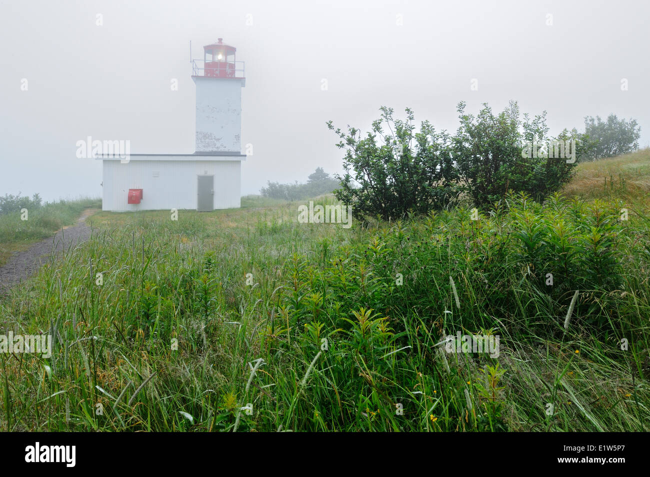 St martins head hi-res stock photography and images - Alamy