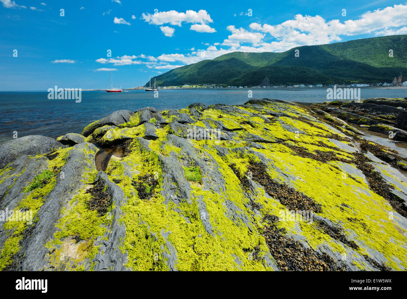 Rocky shoreline of Gulf of St. Lawrence, Mont-Louis, Quebec, Canada ...