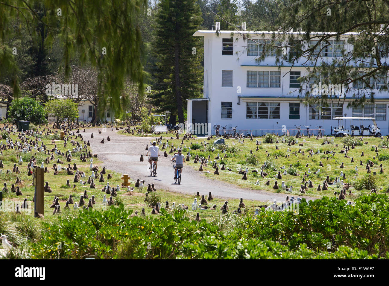 Charlie island hi-res stock photography and images - Alamy