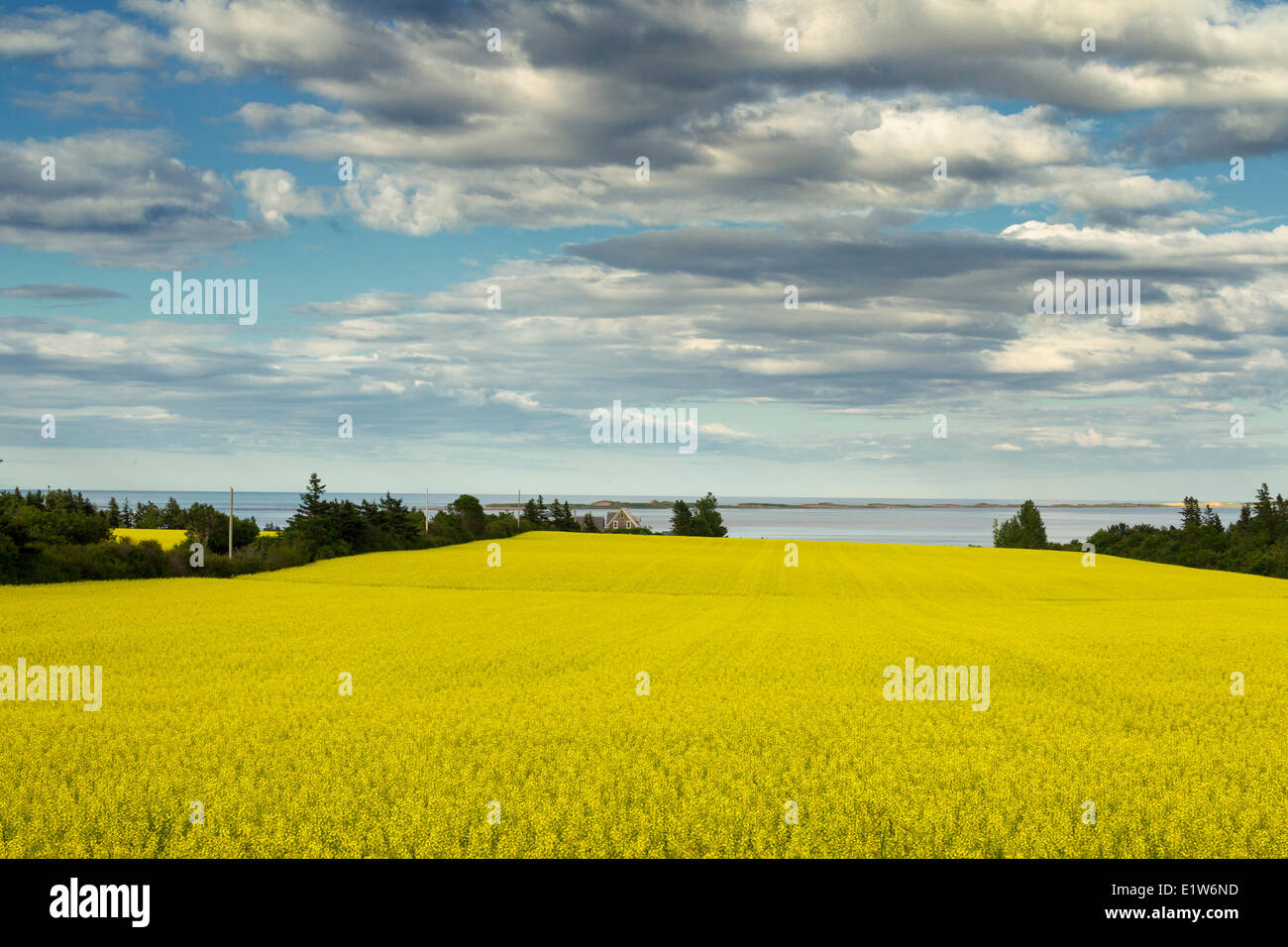 Springbrook prince edward island canada hi-res stock photography and ...