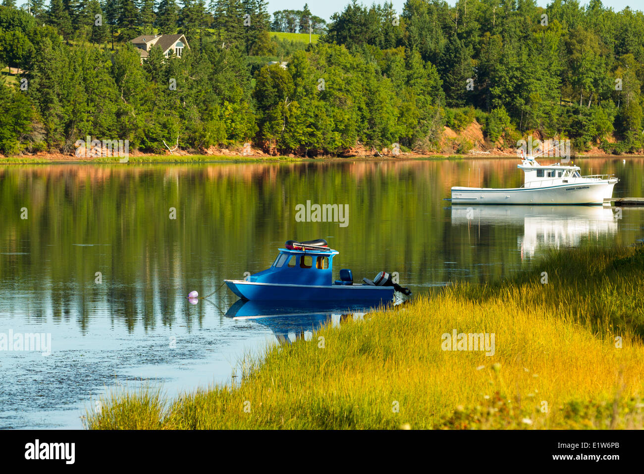 Stanley river hi-res stock photography and images - Alamy