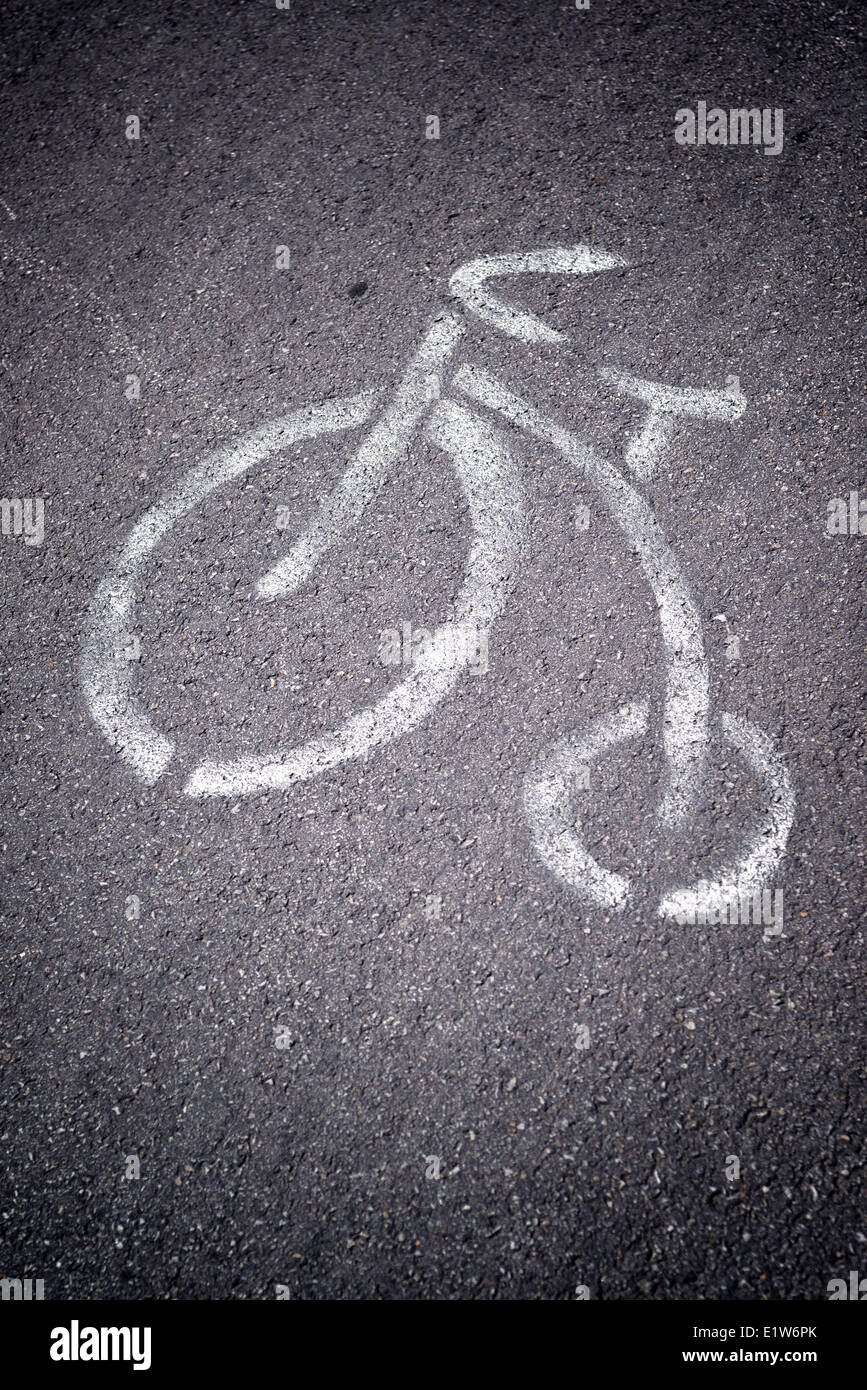 Bicycle road mark. White sign for bicycle track surrounded by grass in ...
