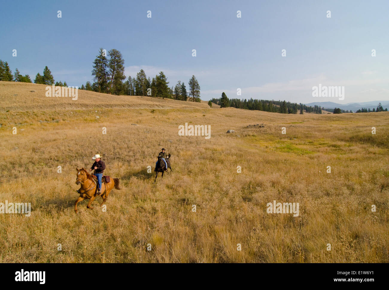 Two cowboys riding horses hi-res stock photography and images - Alamy