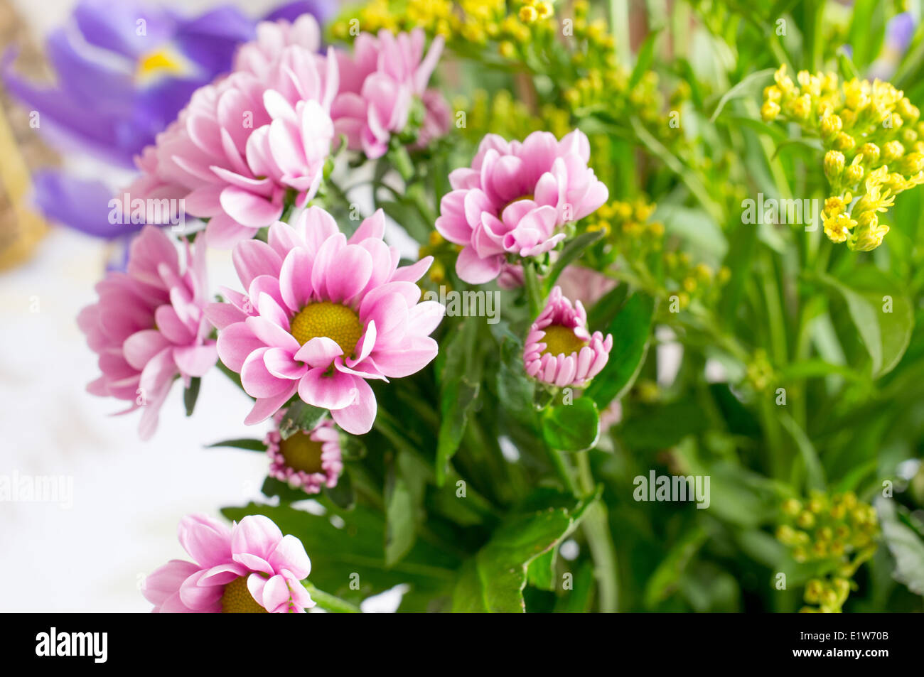 Beautiful spring flowers for postcard, greetings or background Stock ...