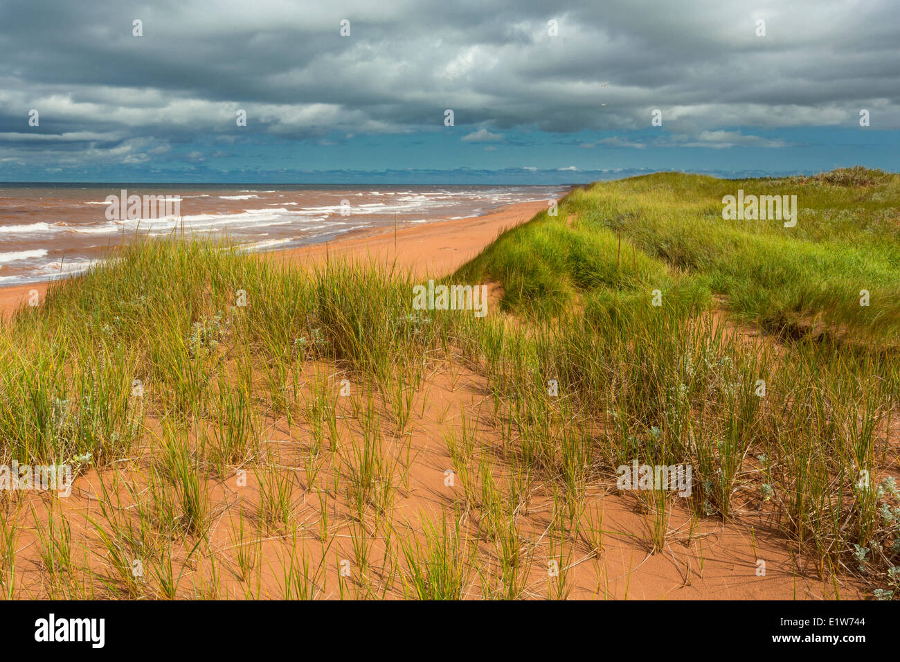 Skinners High Resolution Stock Photography and Images - Alamy