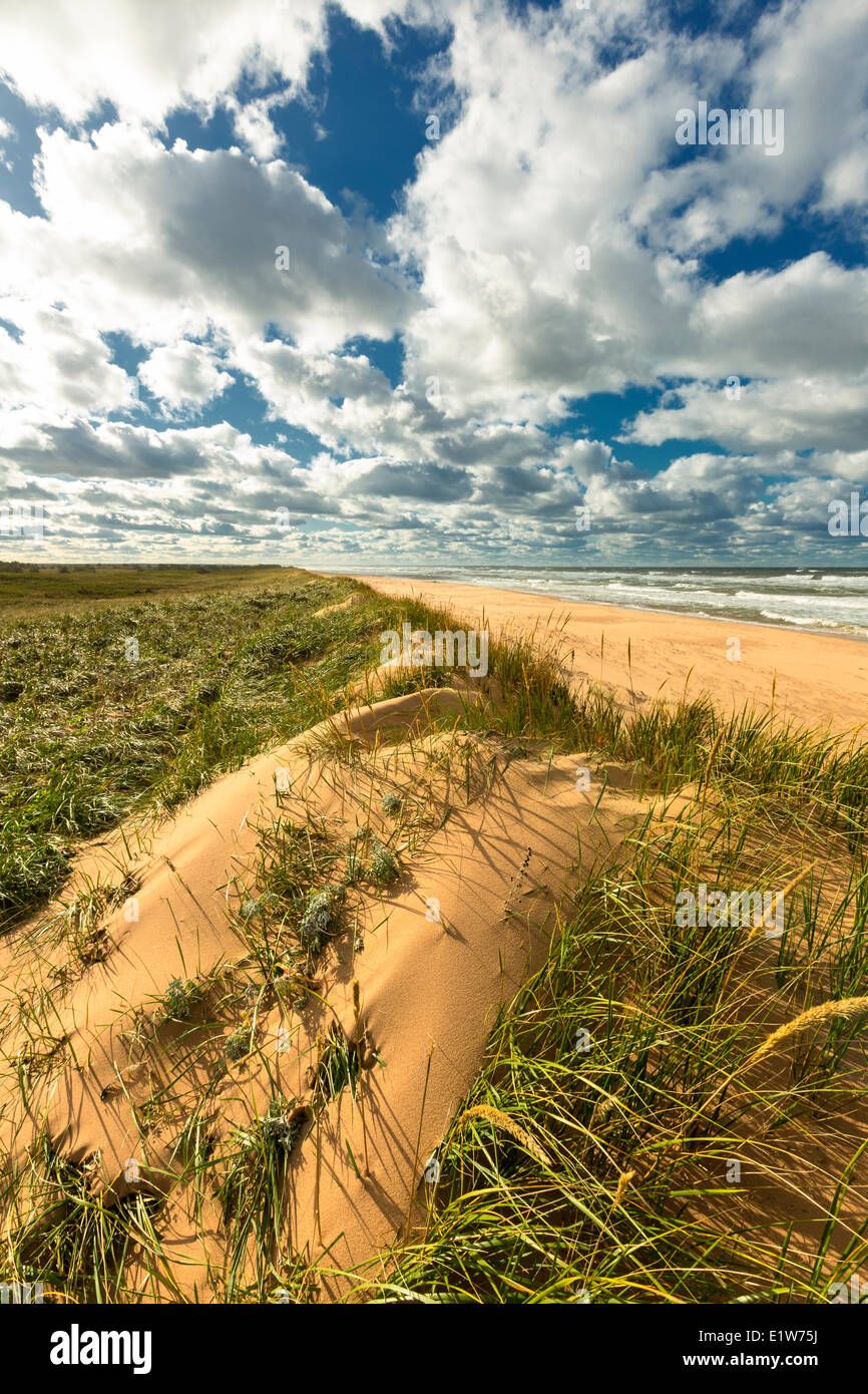 Sand Dune, Blooming Point Beach, Prince Edward Island National Park ...