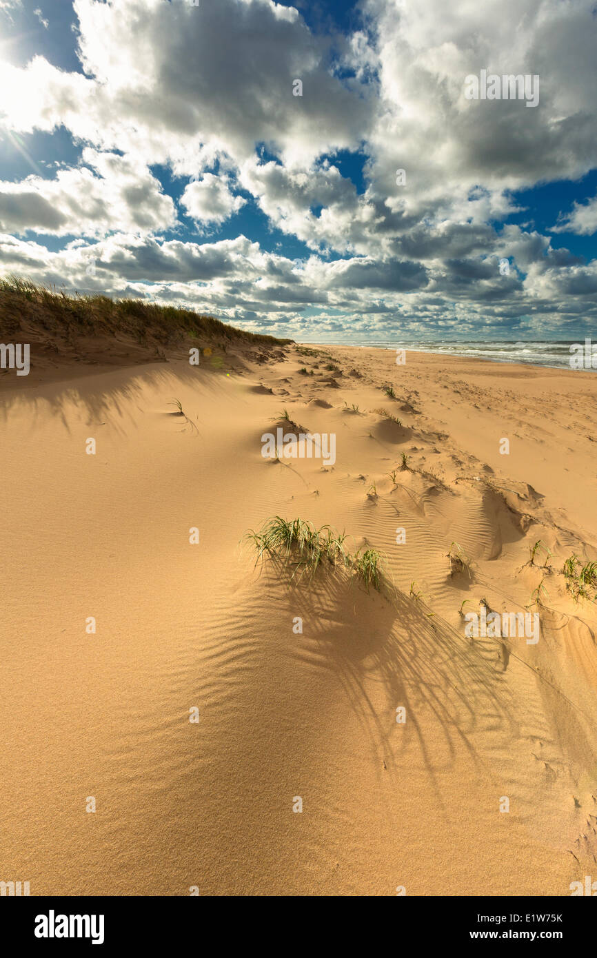 Sand Dune, Blooming Point Beach, Prince Edward Island National Park ...