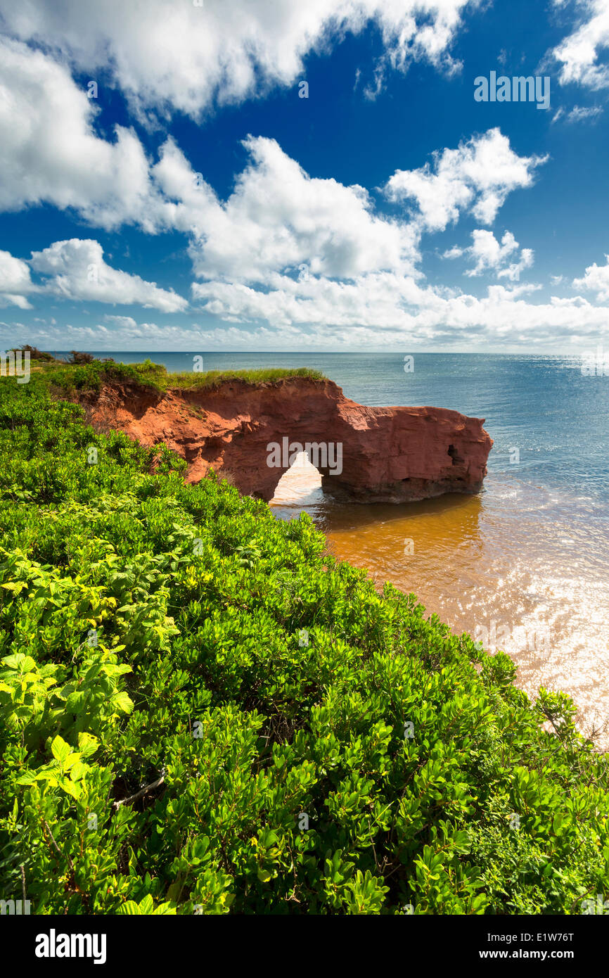 Eroded red sandstone cliffs, Kildare Capes, Prince Edward Island ...