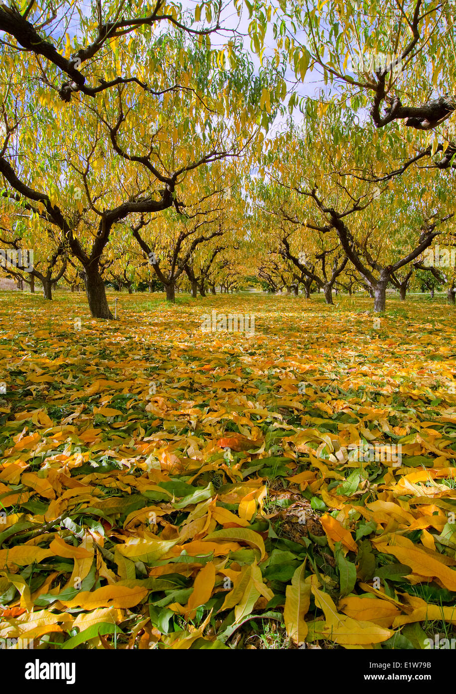 Thompson robinson hi-res stock photography and images - Alamy