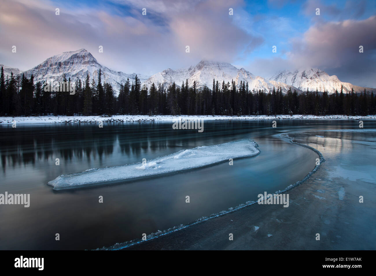 Mount fryatt and the athabasca river hi-res stock photography and ...