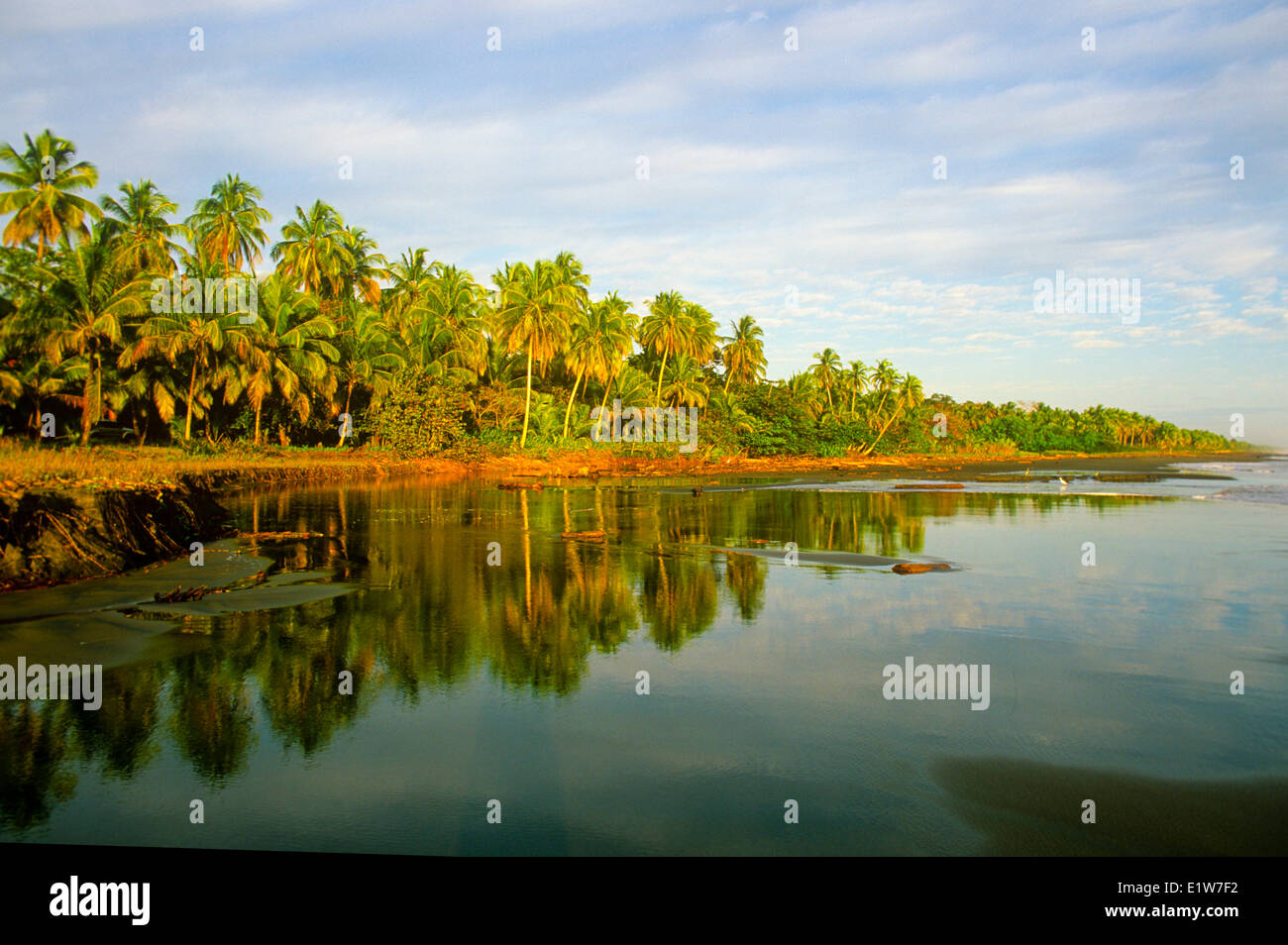Limon costa rica hi-res stock photography and images - Alamy