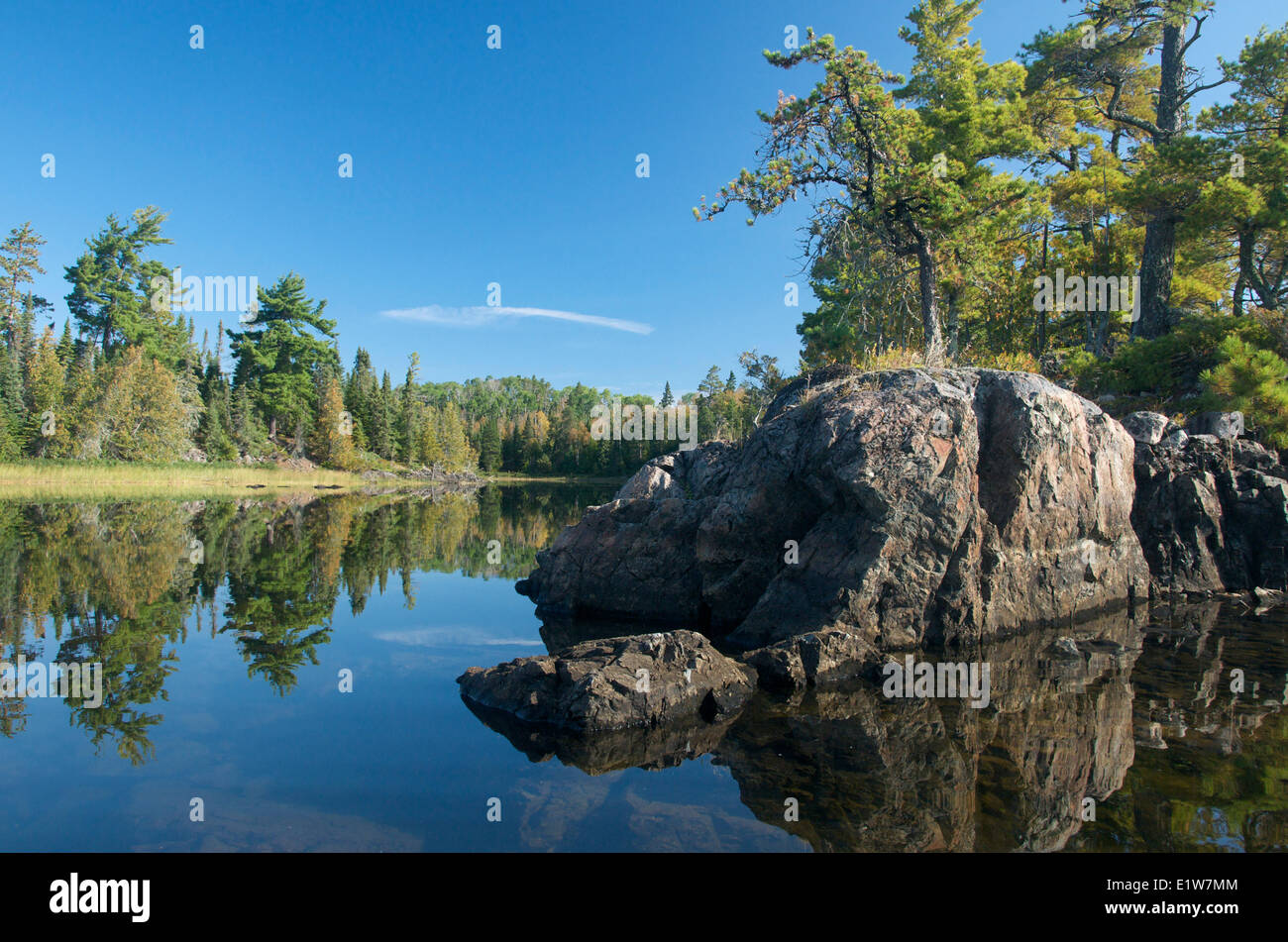 Canadian conifer High Resolution Stock Photography and Images - Alamy