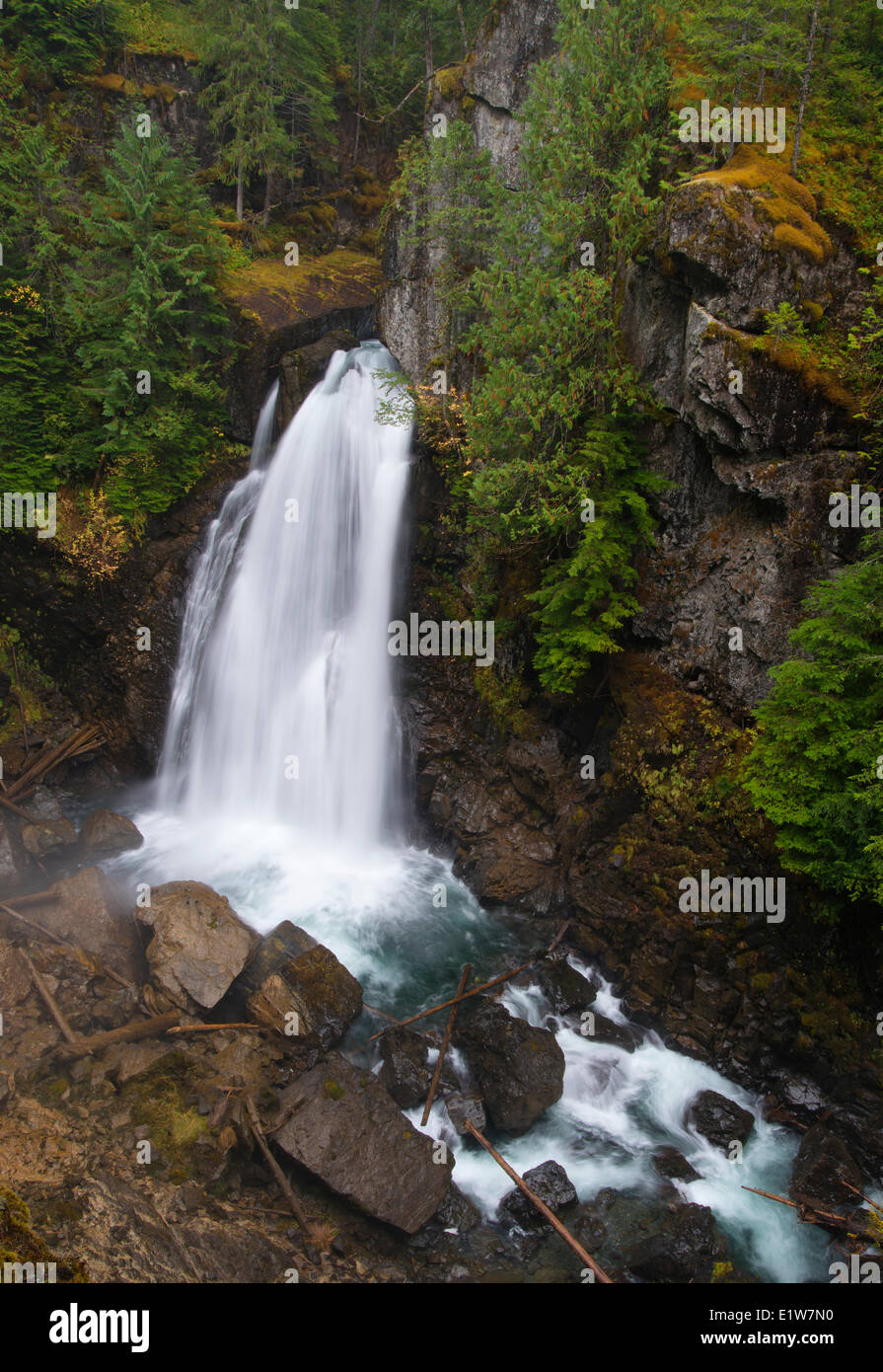 Moss lady hi-res stock photography and images - Alamy