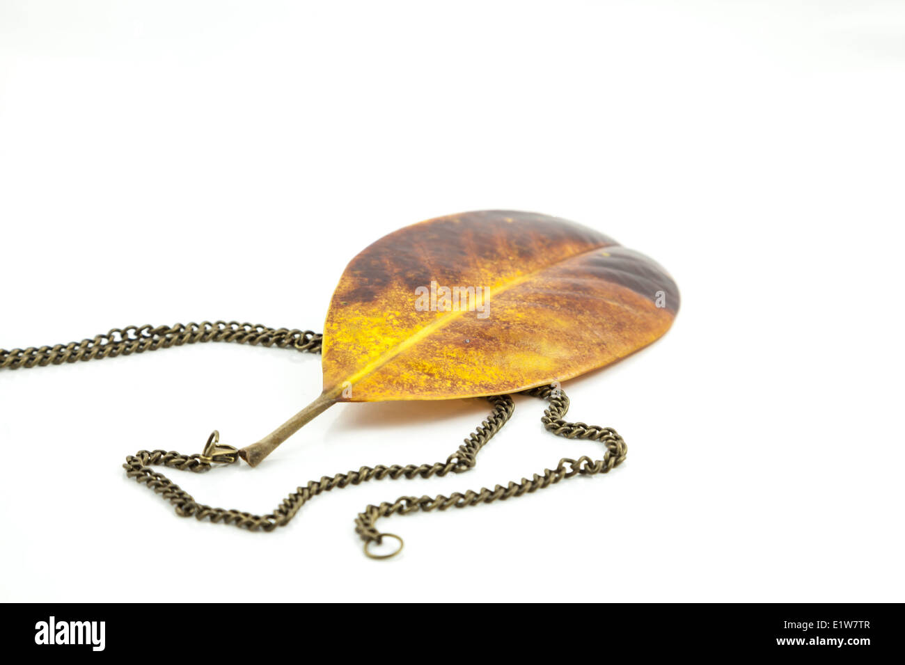 Owl autumn Cut Out Stock Images & Pictures - Alamy