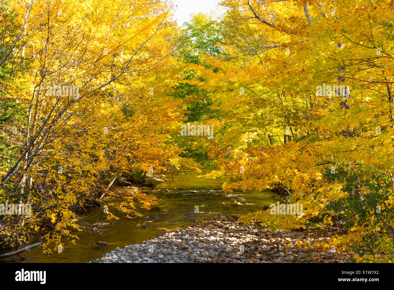 Aspy river hi-res stock photography and images - Alamy