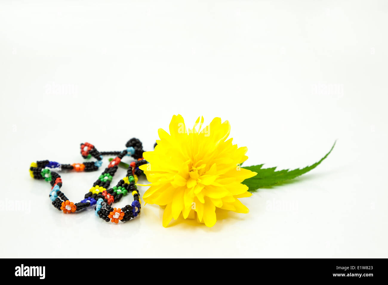 Studio photograph of white flower Cut Out Stock Images & Pictures - Alamy