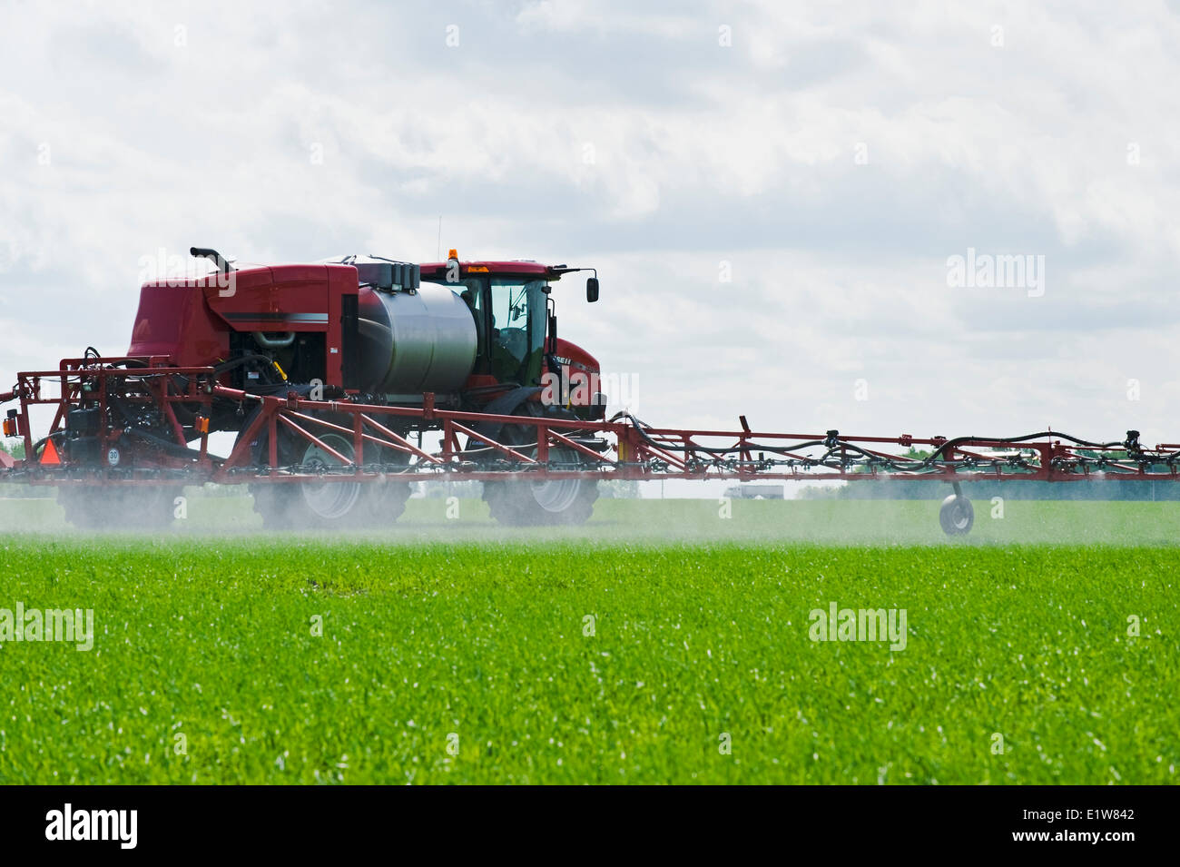 A high clearance sprayer applies a chemical application of herbicide to ...