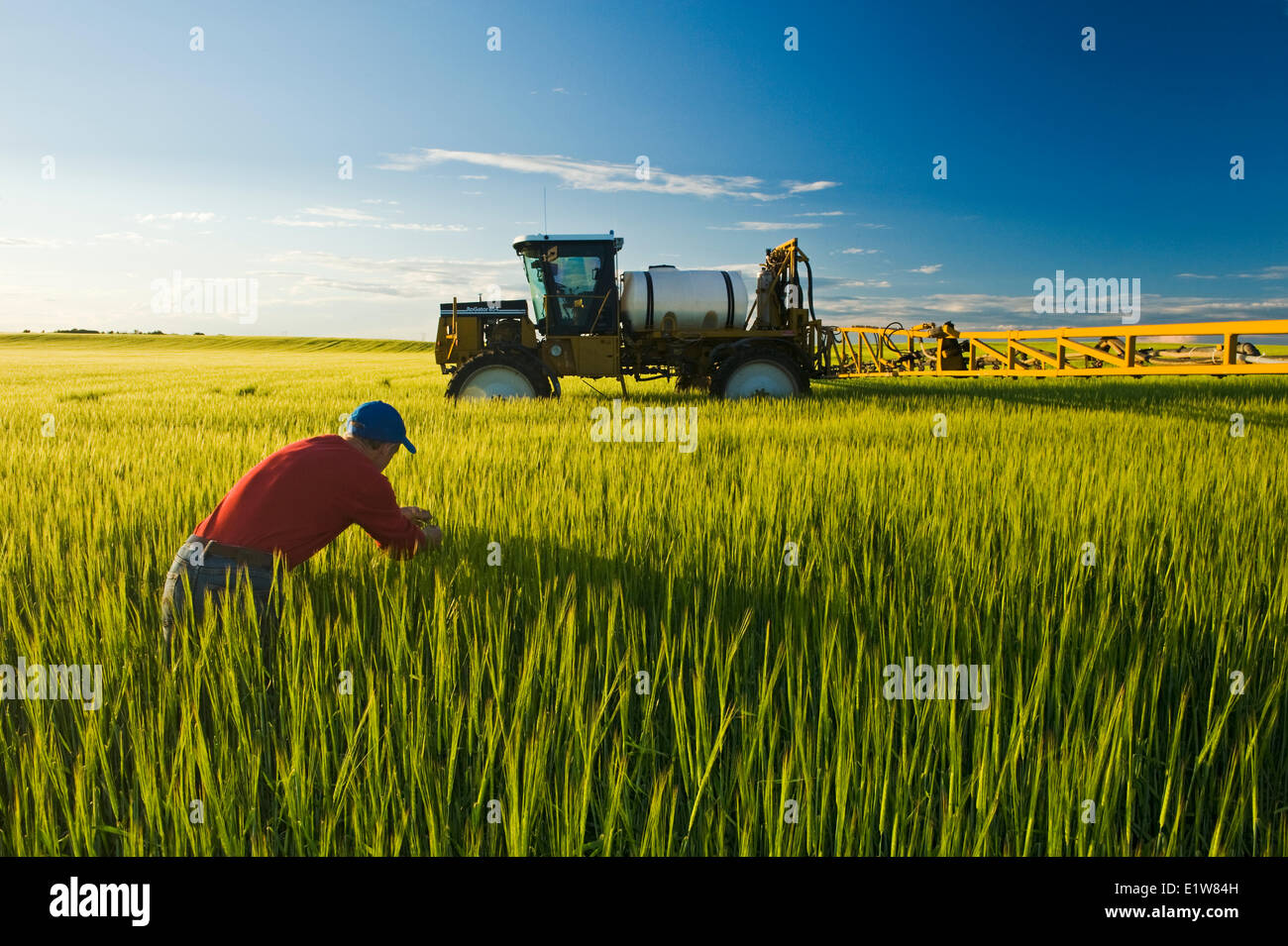 Farmer looking over a field hi-res stock photography and images - Alamy