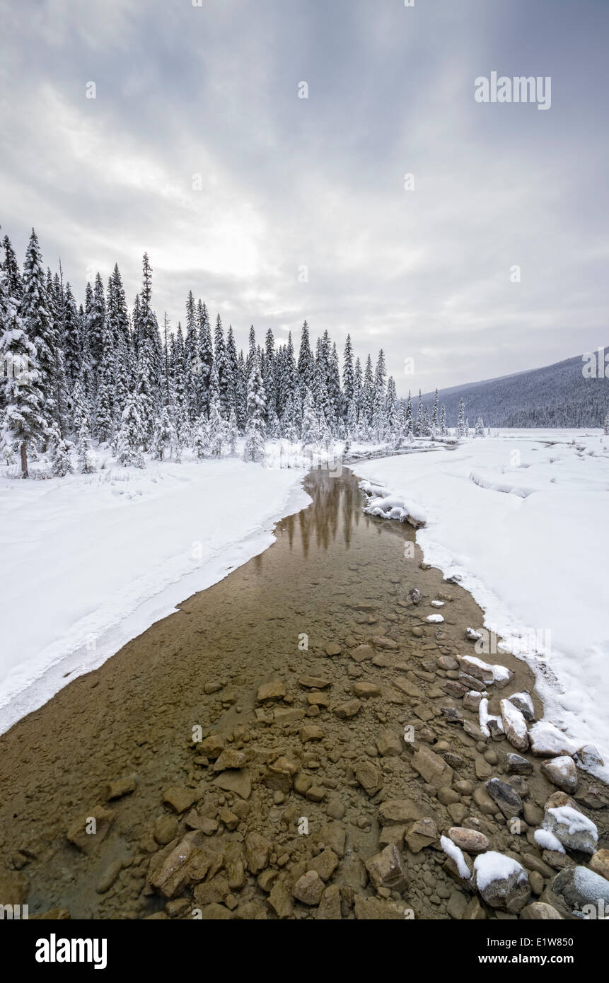 Emerald lake field british columbia hi-res stock photography and images ...
