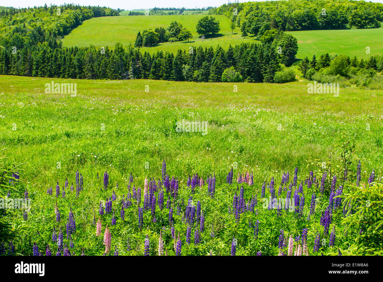 Appin road hi-res stock photography and images - Alamy