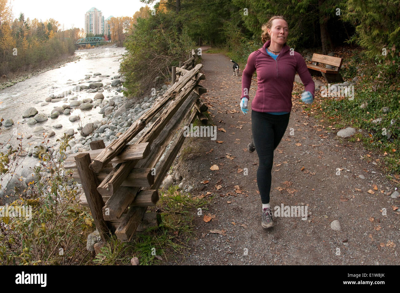 Woman trail running on the Capilano Pacific Trail, Capilano River ...