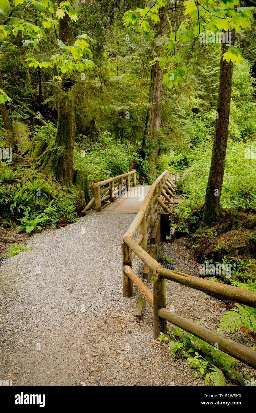 Rainforest and trail scenes in Capilano River Regional Park, North ...