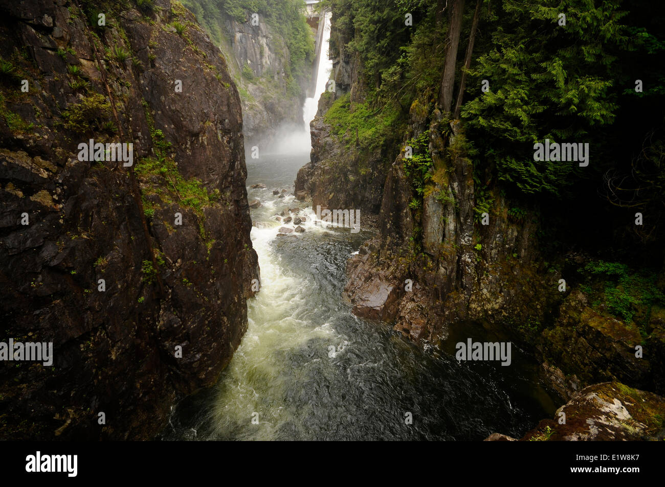 Rainforest and trail scenes in Capilano River Regional Park, Cleveland ...