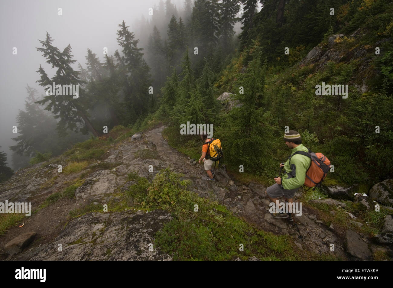 Hiking the Alpine Trail to Crown Mountain from Grouse Mountain, North ...
