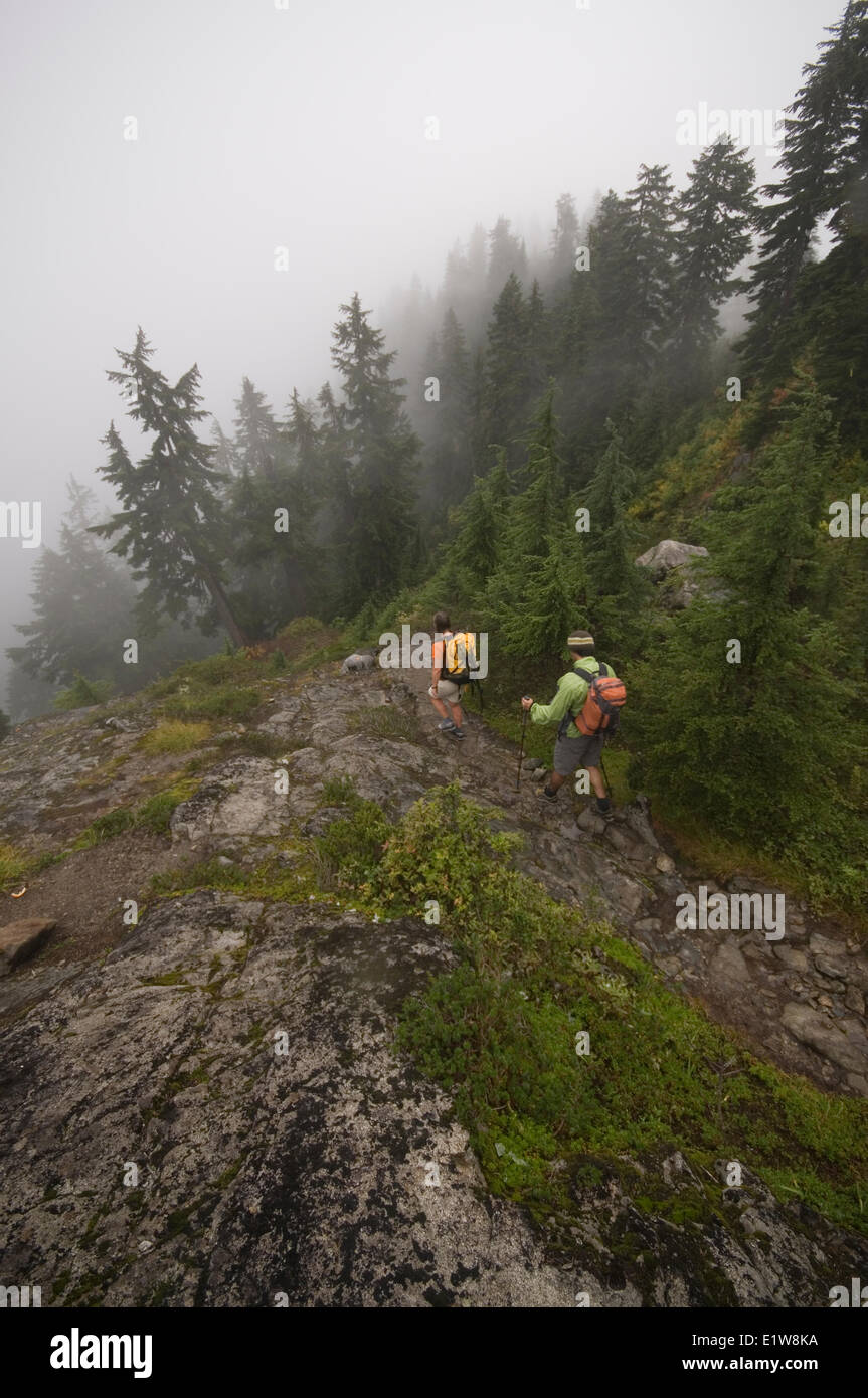 Hiking the Alpine Trail to Crown Mountain from Grouse Mountain, North ...