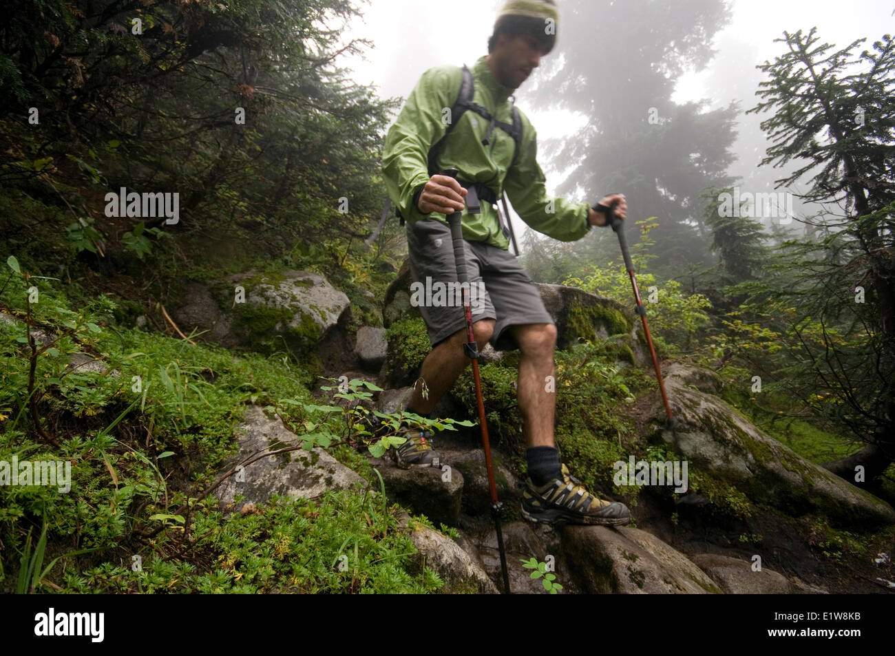 Hiking the Alpine Trail to Crown Mountain from Grouse Mountain, North ...