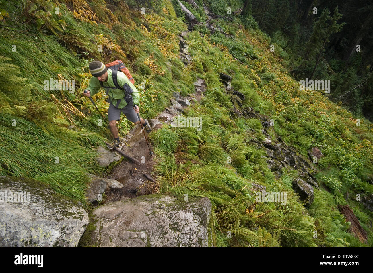 Hiking the Alpine Trail to Crown Mountain from Grouse Mountain, North ...