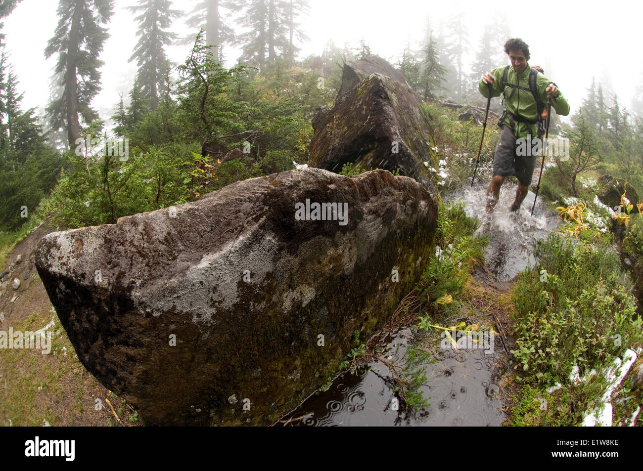Hiking the Alpine Trail to Crown Mountain from Grouse Mountain, North ...