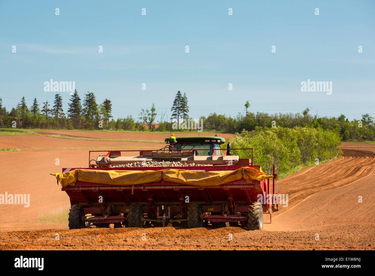 Bedeque hi-res stock photography and images - Alamy