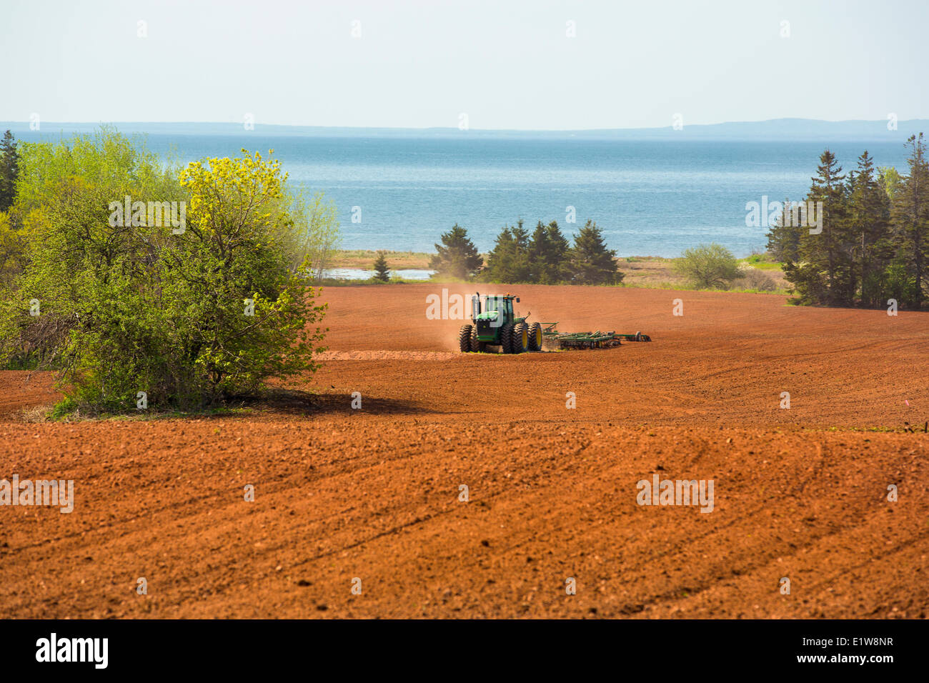 Spring planting, Point Prim, Prince Edward Island, Canada Stock Photo ...