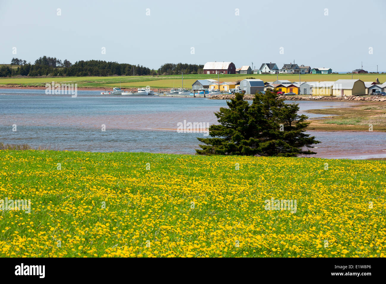 Atlantic salt meadows hi-res stock photography and images - Alamy