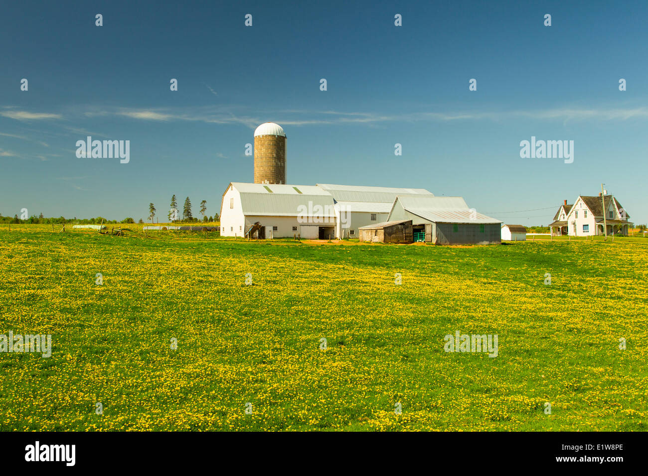 Springfield farm hi-res stock photography and images - Alamy