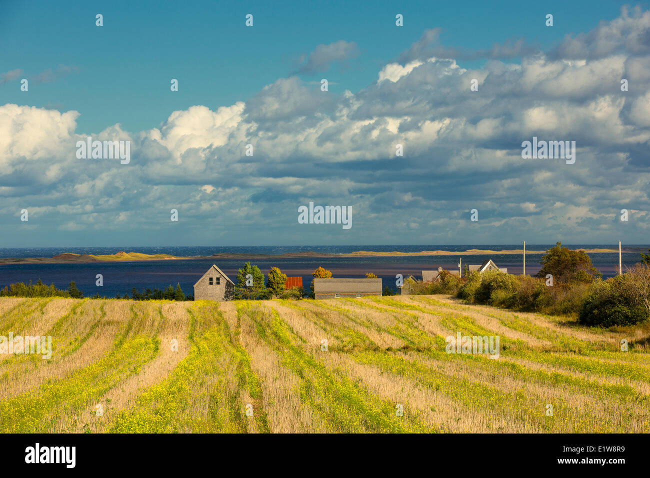 Farm, Springbrook, Prince Edward Island, Canada Stock Photo - Alamy