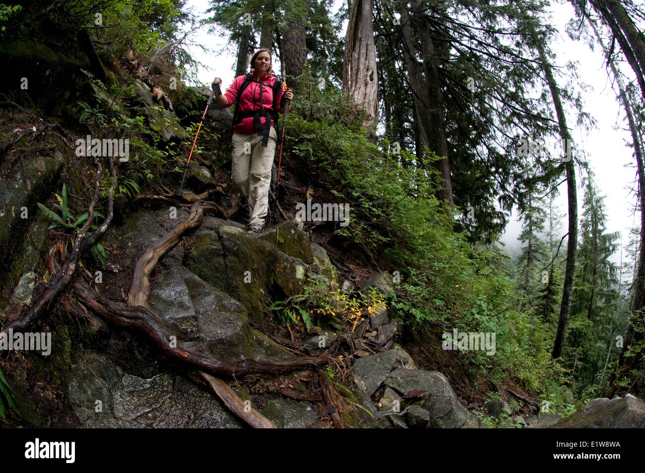 Hiking the Alpine Trail to Crown Mountain from Grouse Mountain, North ...
