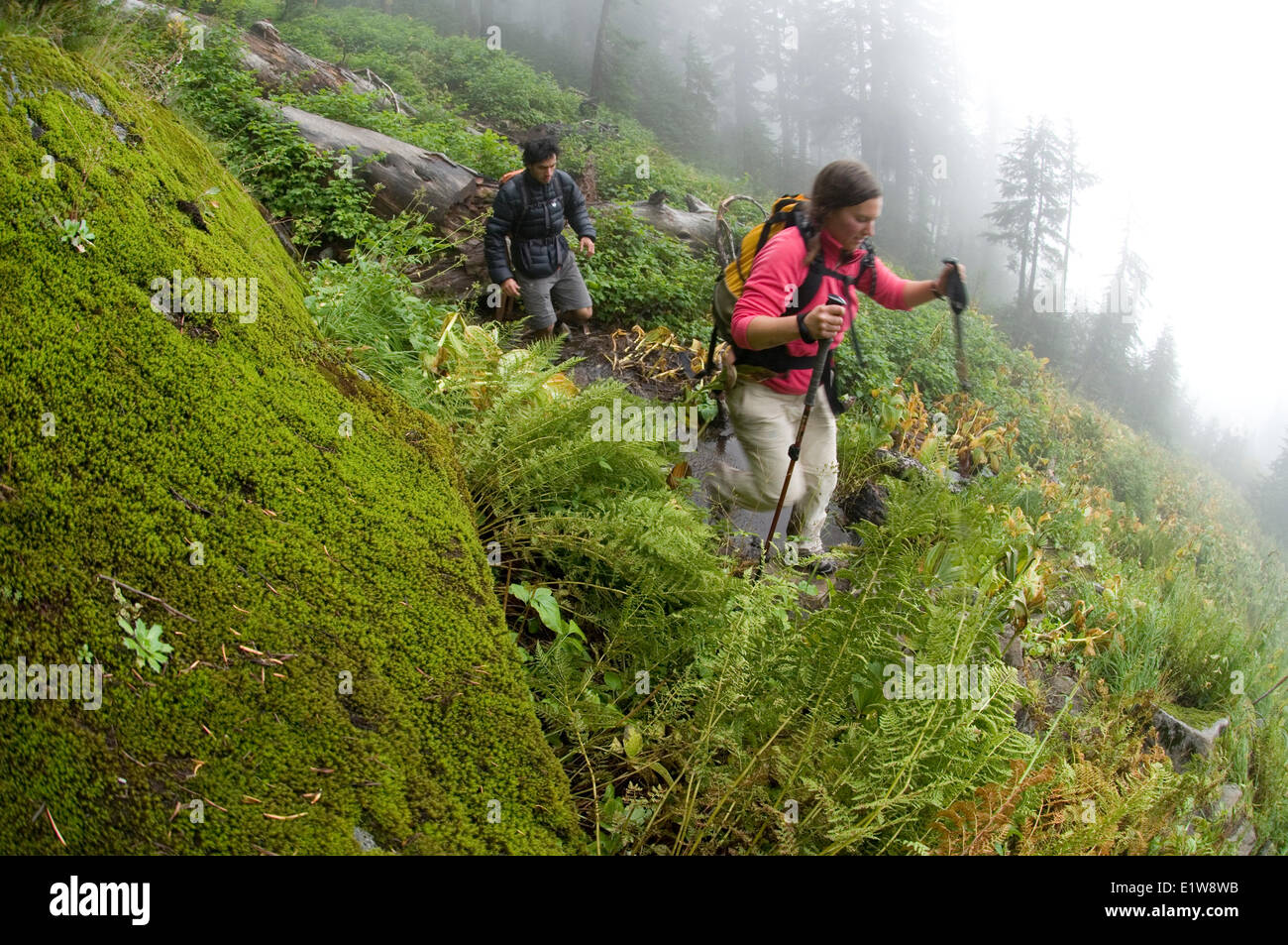 Hiking the Alpine Trail to Crown Mountain from Grouse Mountain, North ...